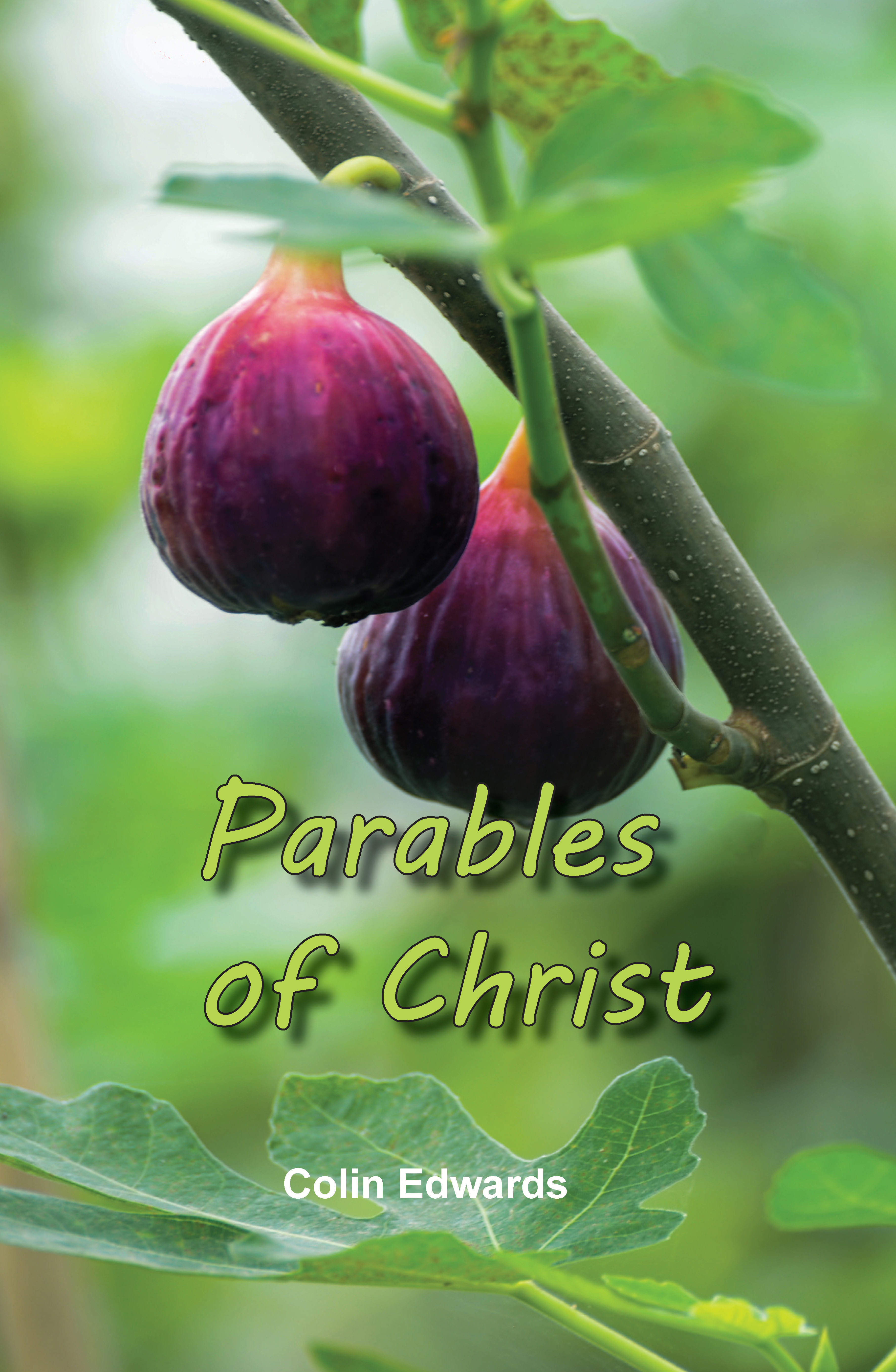 Parables of Christ – Food for the Journey Press